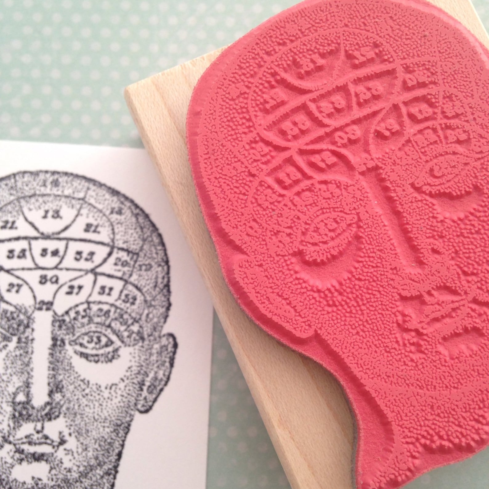 Diagramed Head Wood Mounted Rubber Stamp 5363 - Etsy