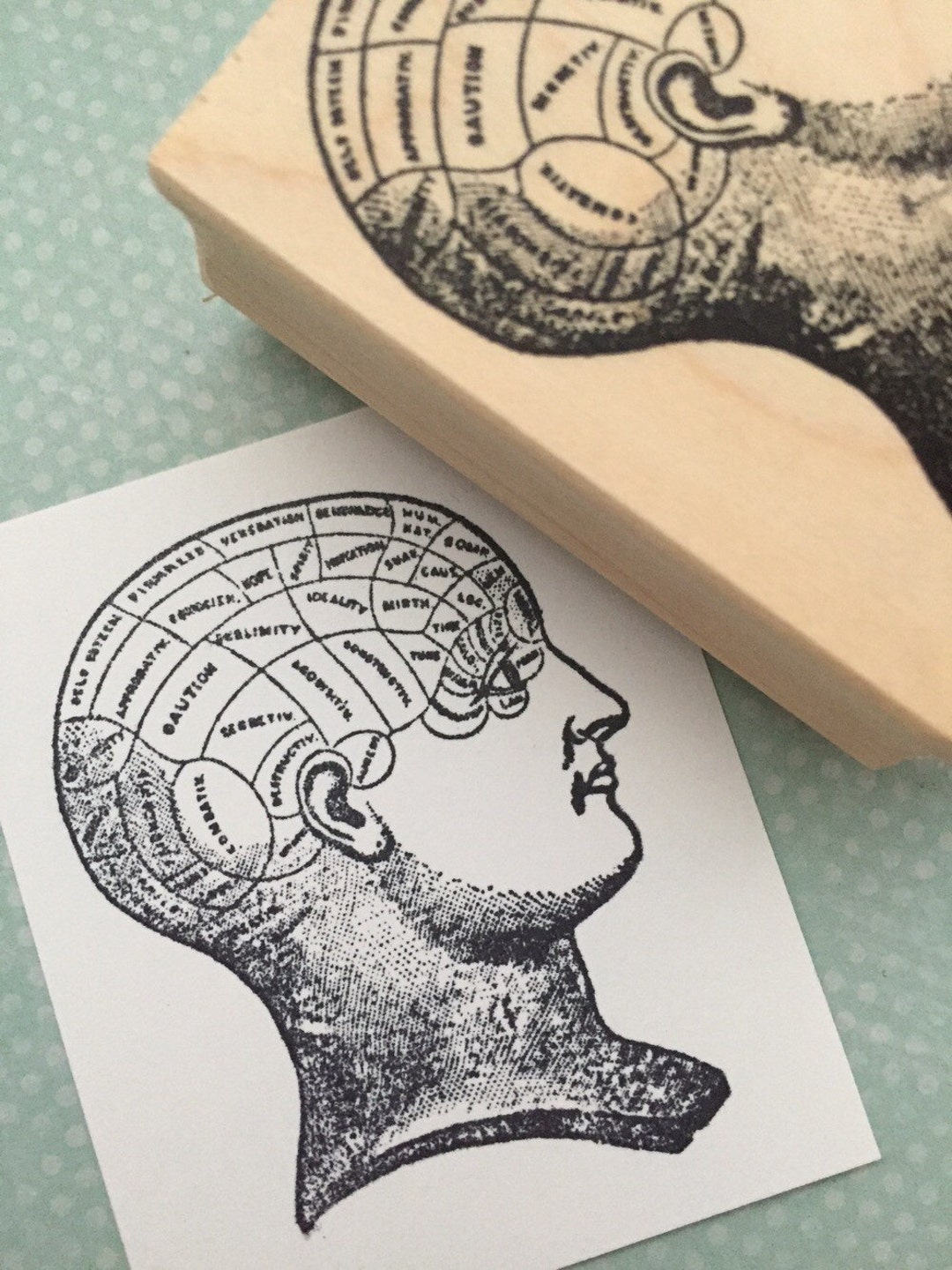 Diagramed Head Wood Mounted Rubber Stamp 996 - Etsy
