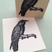 Raven on Branch Rubber Stamp 3863 - Etsy