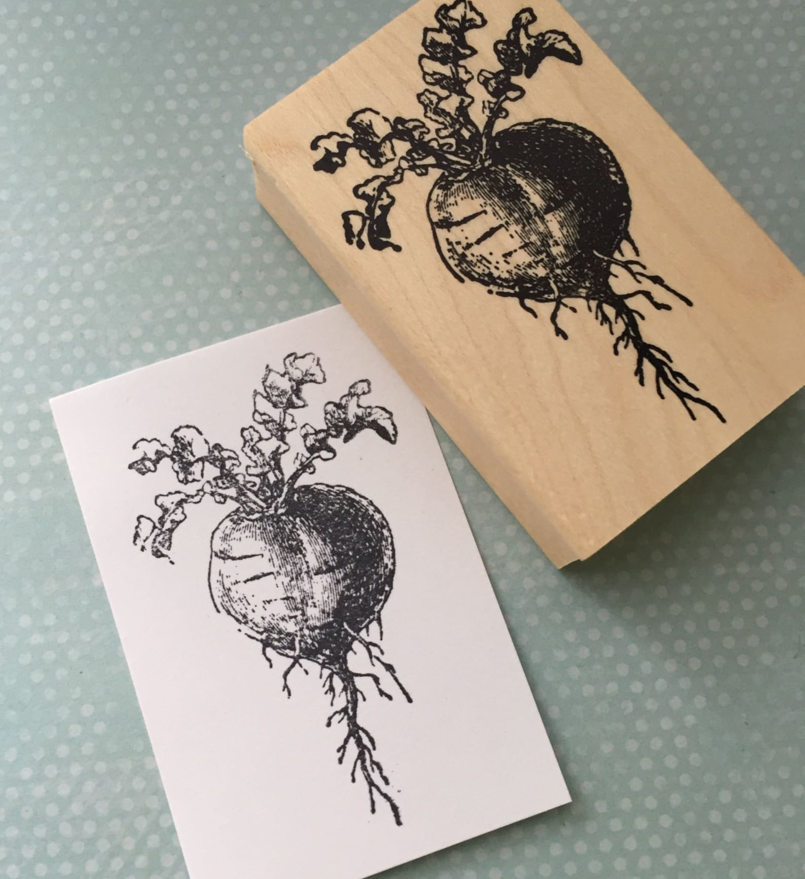 Large Beet Root Vegetable Rubber Stamp 6673 - Etsy