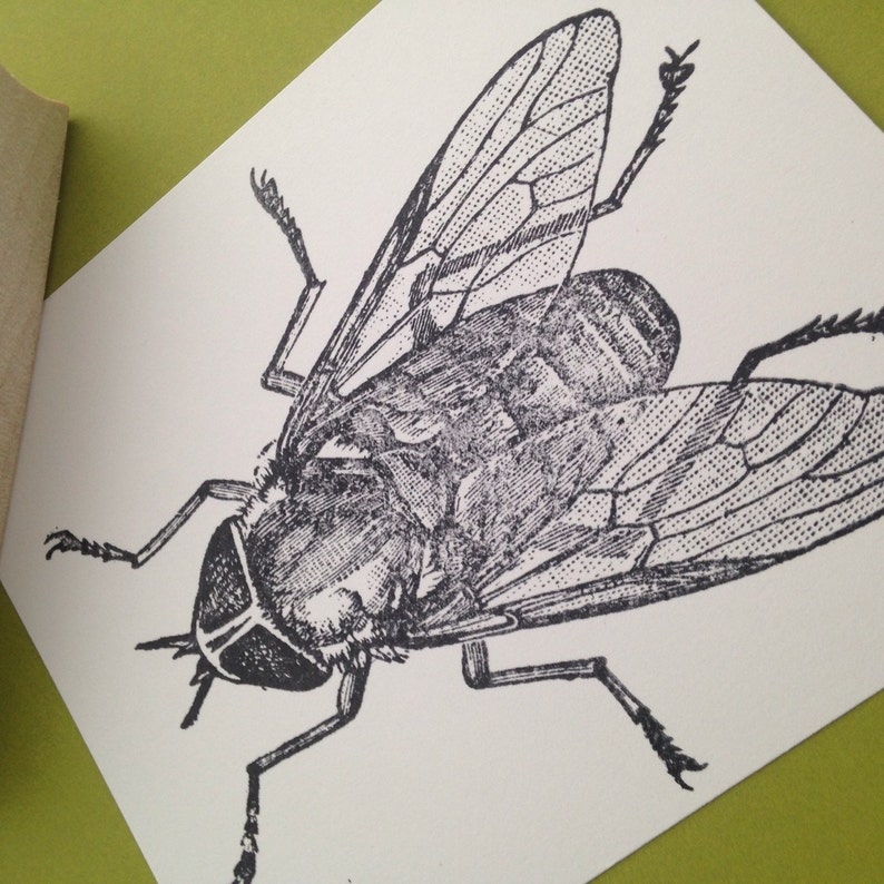 Huge House Fly Wood Mounted Rubber Stamp 3755 - Etsy