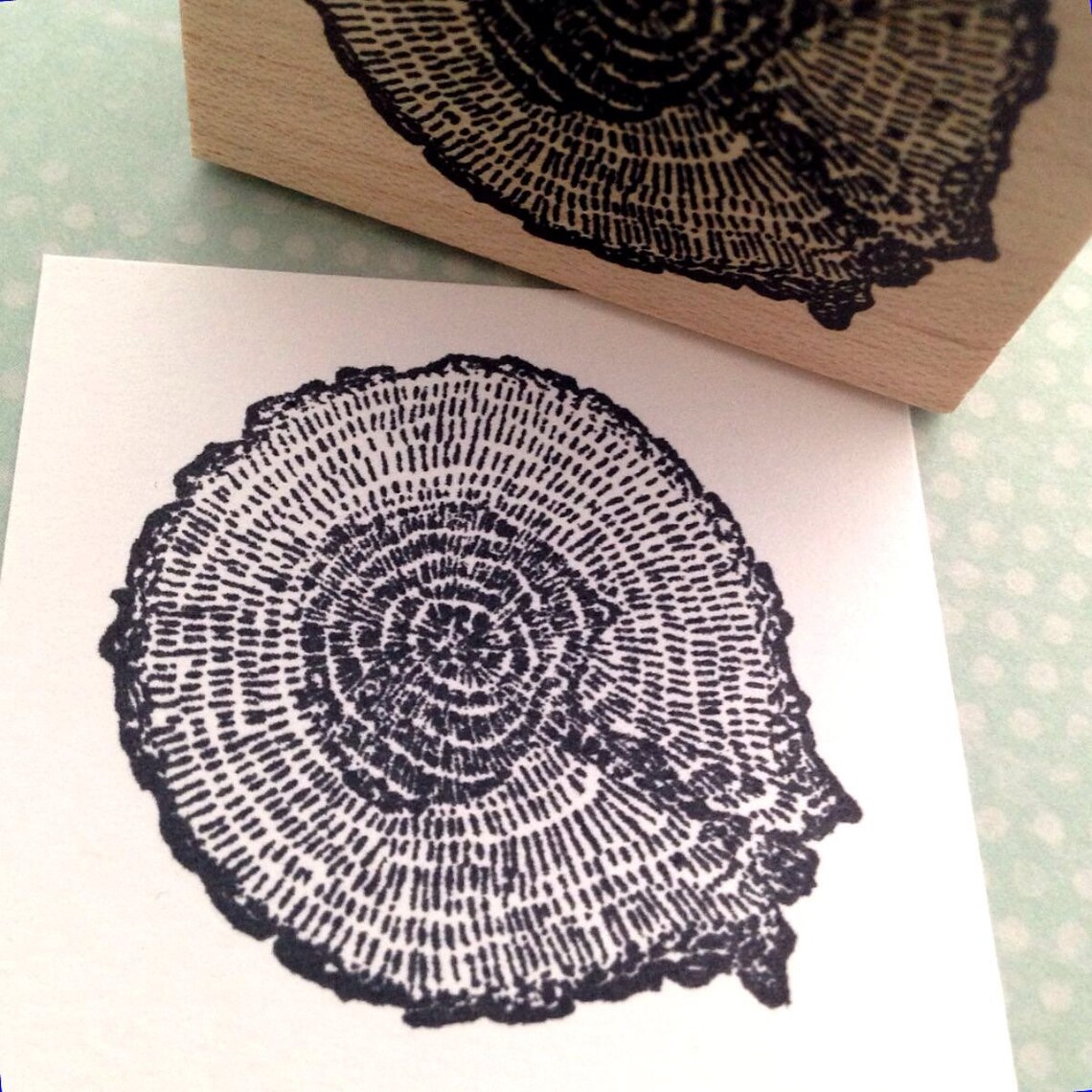 Cross Section of a Tree Rubber Stamp 5289 - Etsy
