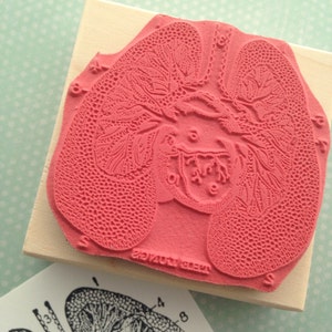 The Lungs Diagram Wood Mounted Rubber Stamp 6133 - Etsy