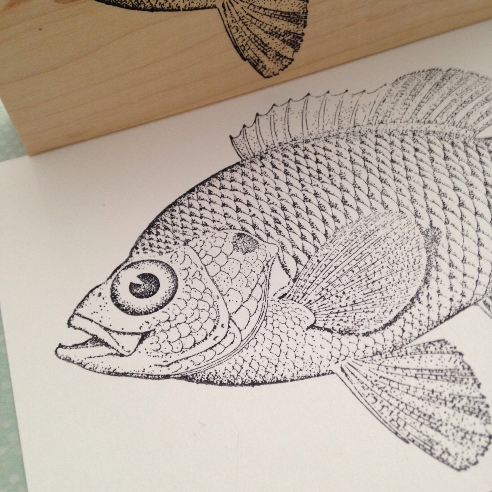 Large Bluegill Fish Stamp 2959 - Etsy