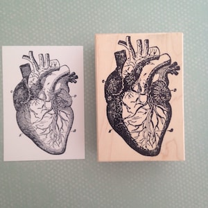 Anatomical Heart Wood Mounted Rubber Stamp 5016 - Etsy