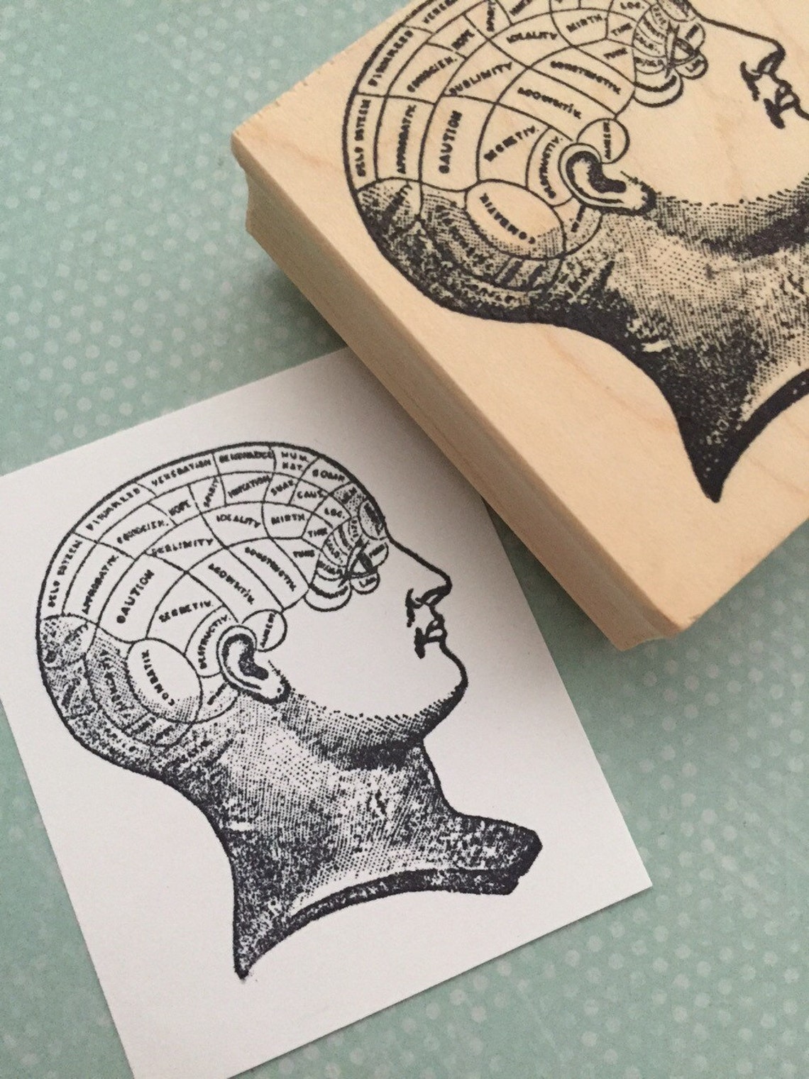 Diagramed Head Wood Mounted Rubber Stamp 996 - Etsy