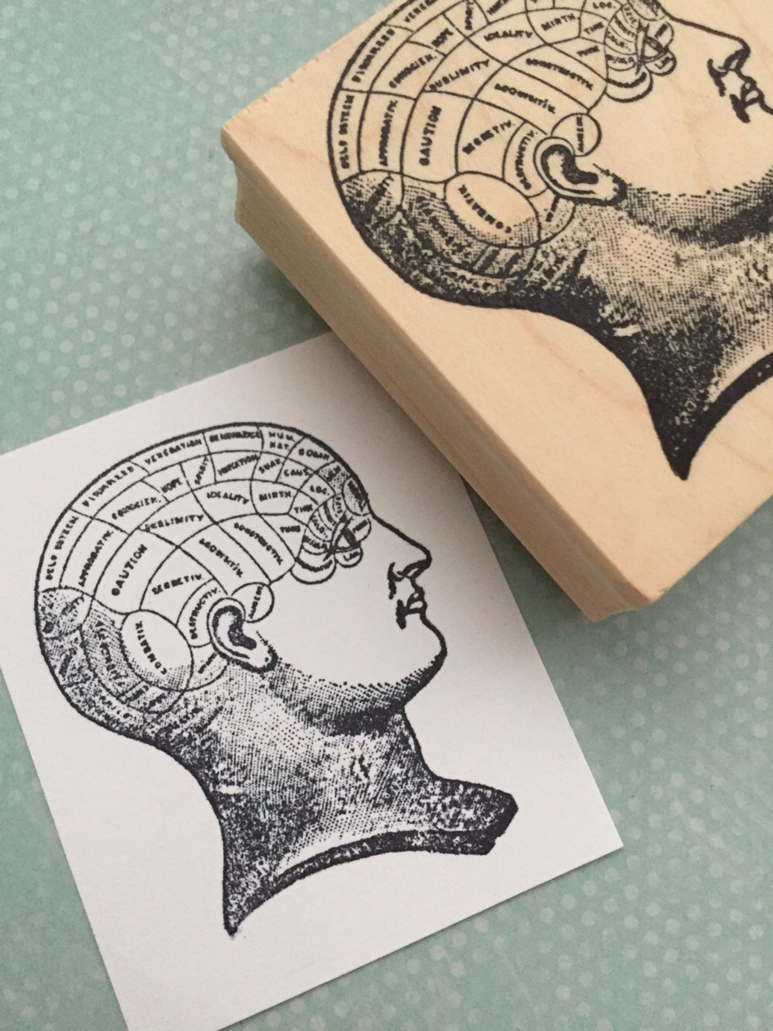 Diagramed Head Wood Mounted Rubber Stamp 996 - Etsy