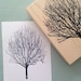 Bare Winter Tree Rubber Stamp Journal Stamp Nature Stamp | Etsy