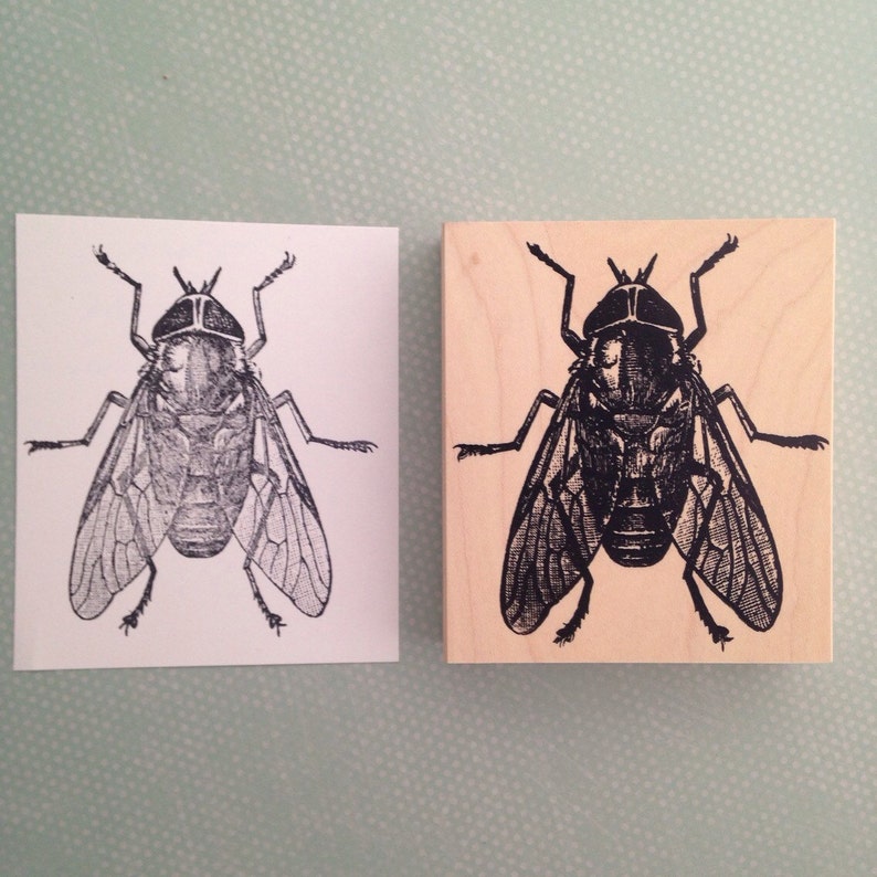 Huge House Fly Wood Mounted Rubber Stamp 3755 - Etsy