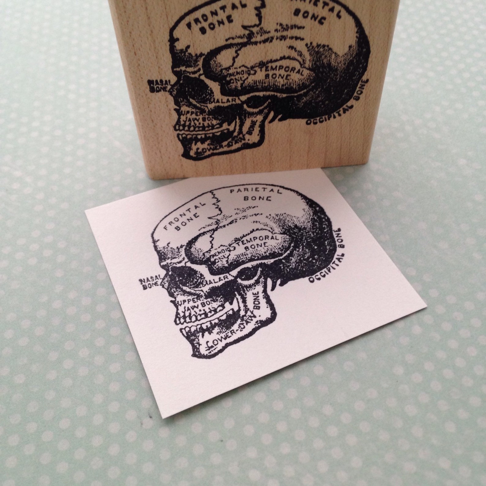 Labeled Skull Wood Mounted Rubber Stamp 5023 - Etsy