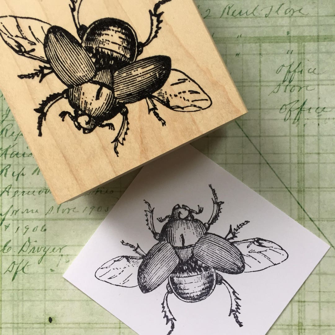 Big Scarab Beetle Rubber Stamp 6691 - Etsy