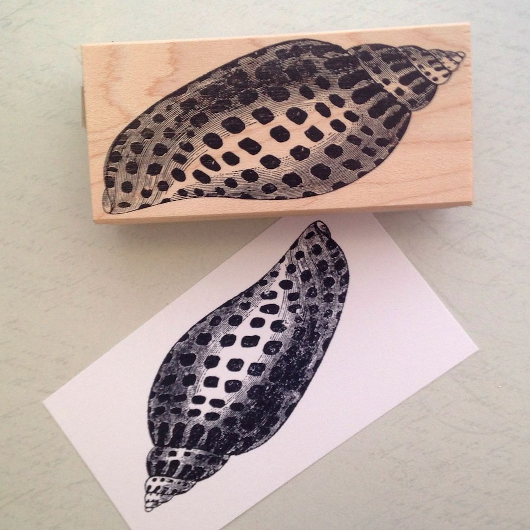 Seashell Rubber Stamp Handmade by 100 Proof Press 4612 - Etsy