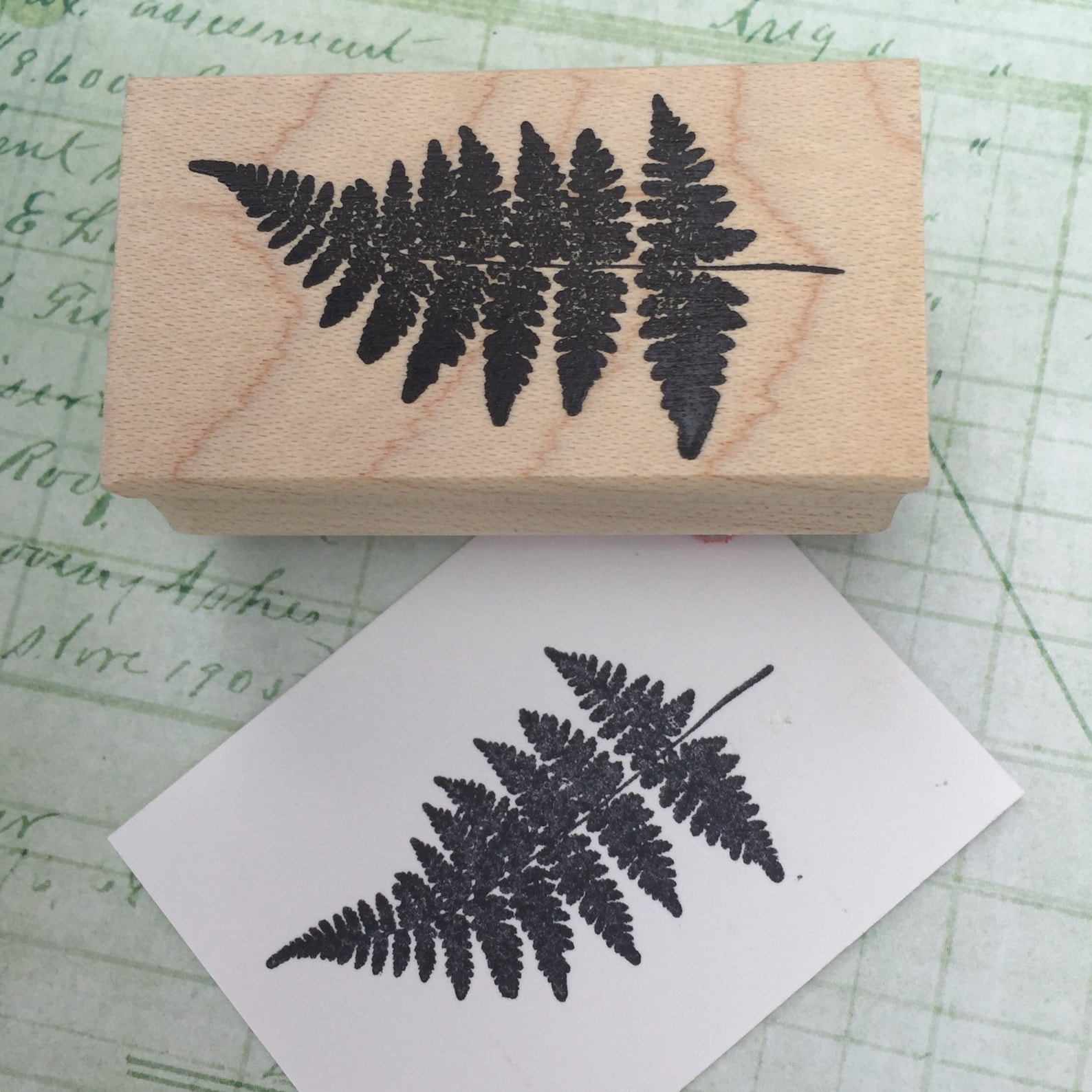 Fern Leaf Rubber Stamp 1765 - Etsy