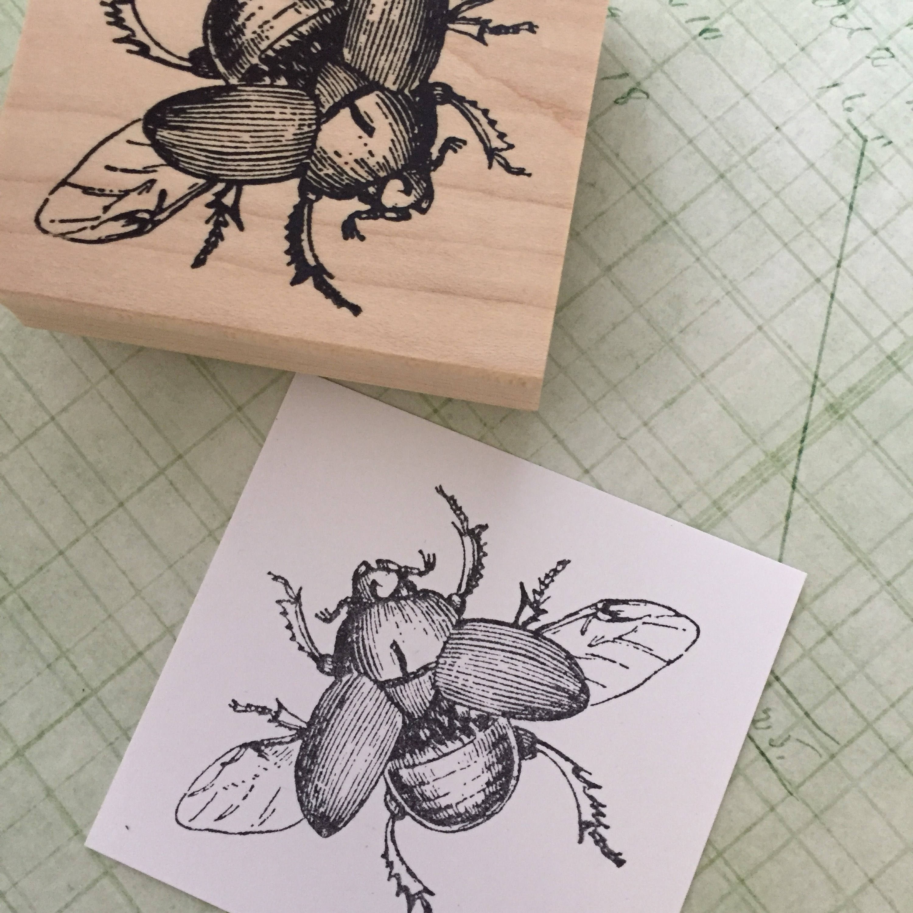 Big Scarab Beetle Rubber Stamp 6691 | Etsy