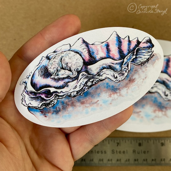 Oyster Shell Stickers - Etsy