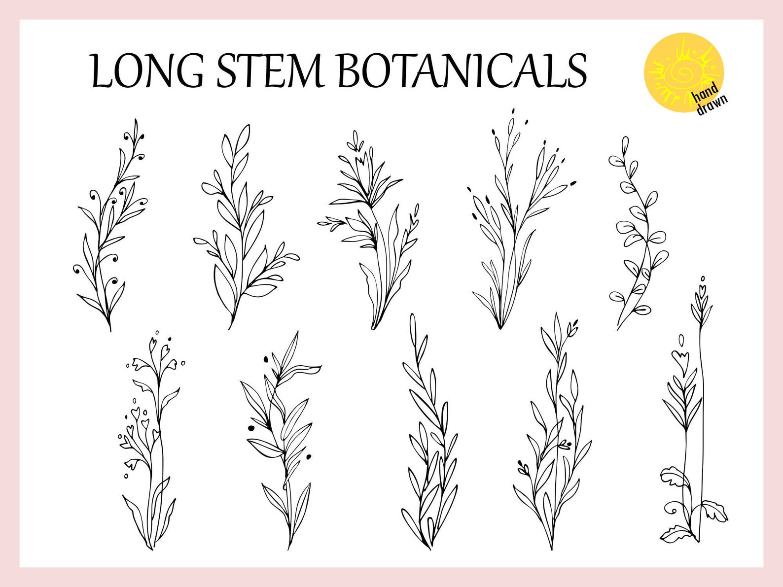 Hand Drawn Long Stem Plants Herbs Wildflowers. Delicate - Etsy
