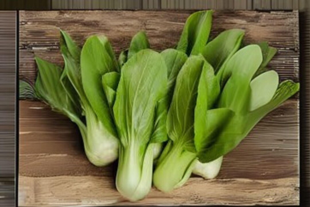 Dwarf Pak Choi Seeds: Baby Bok Choy, Stir Fry Greens (180 Seeds) - Etsy