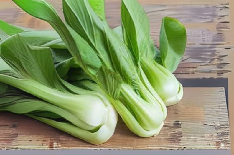 180 Seeds Dwarf Pak Choi – Baby Bok Choy, Mini Chinese Cabbage, Crisp ...
