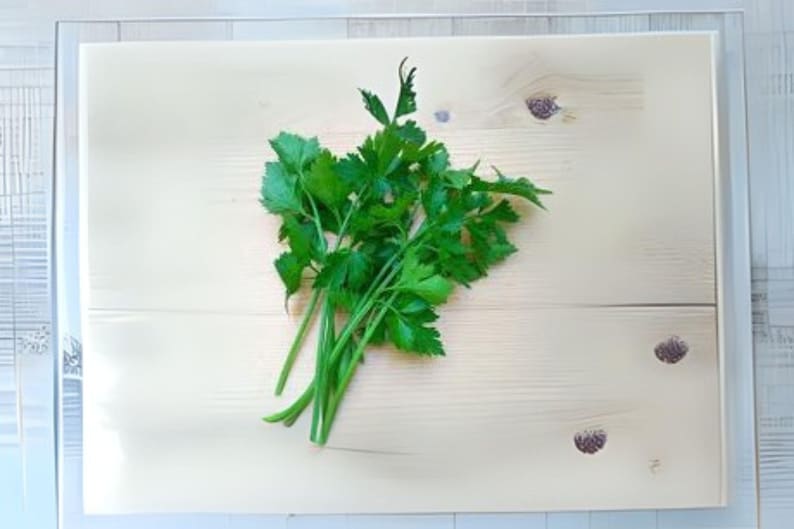 Chinese Celery Kintsai Seeds: Aromatic Heirloom, Dark Green - Etsy