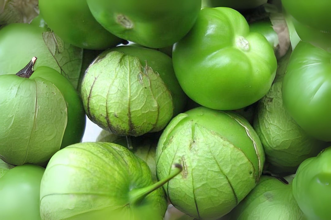 100 Mg Tomatillo Verde Seeds | Heirloom Vegetable | Green Salsa ...