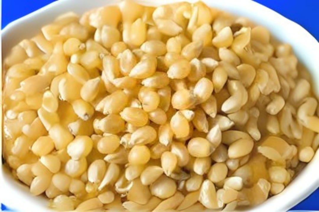 Japanese Hulless White Popcorn Seeds: Heirloom Variety, Tender Kernels ...