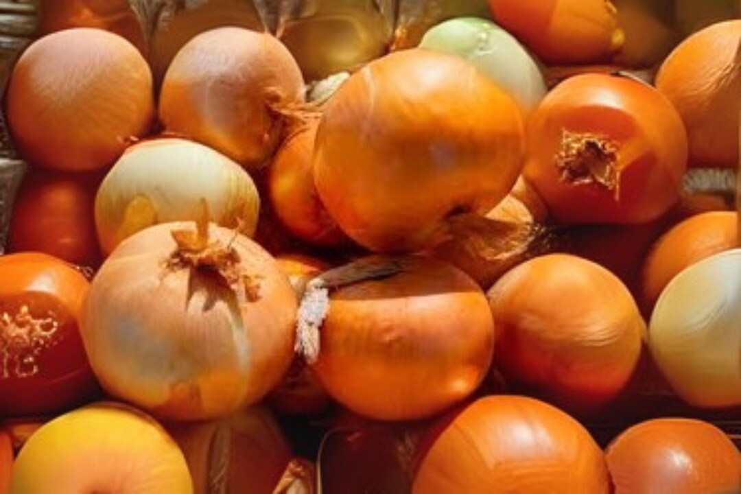 Utah Yellow Sweet Spanish Onion Seeds: Heirloom Non-gmo (250 Mg) - Etsy