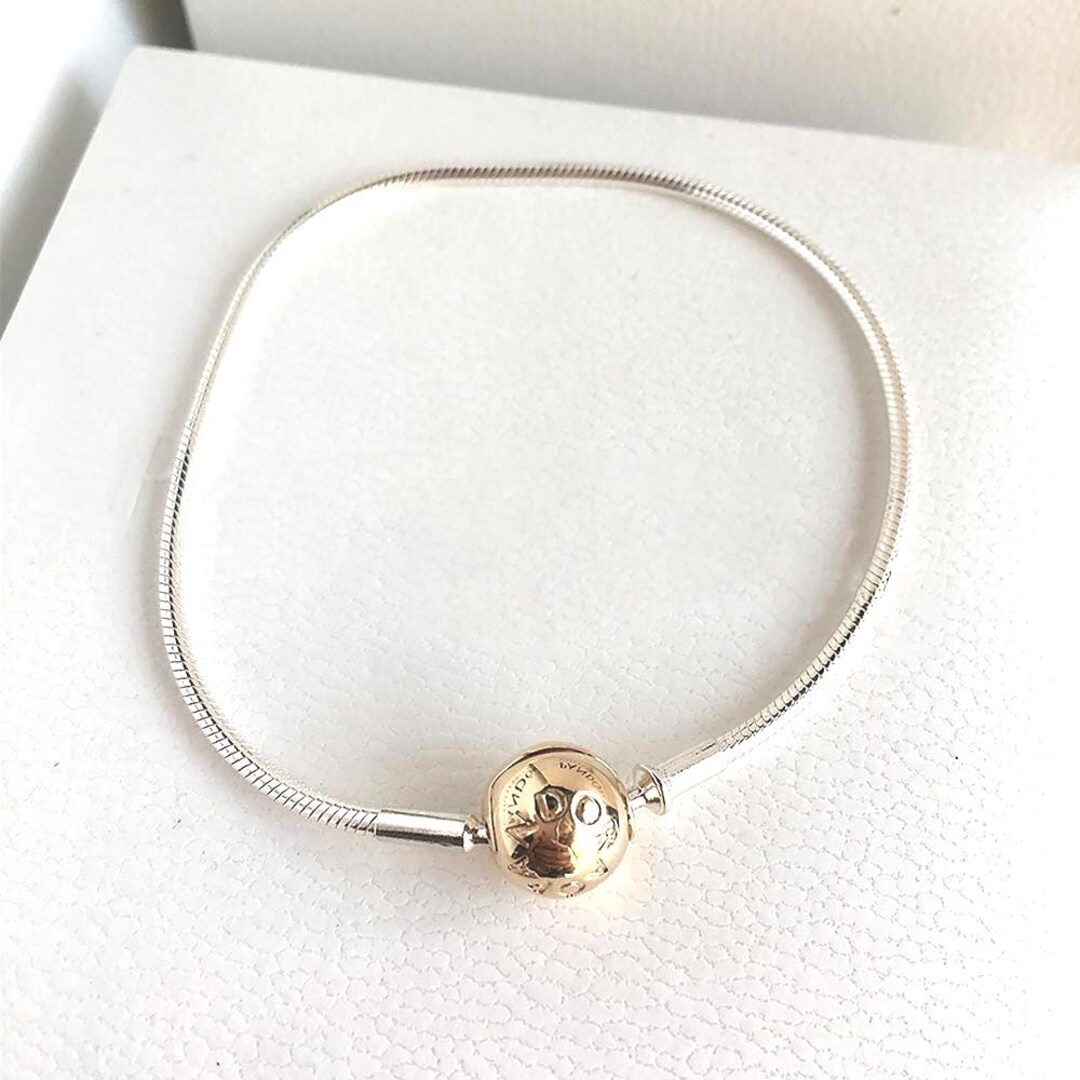 New Pandora Sterling Silver (thin) Essence Charm Bracelet - Etsy