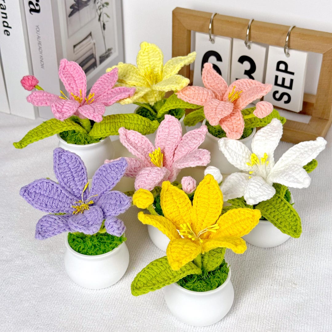 Adorable Handmade Mini Crochet Flowers Forever Blooming Floral Decor ...