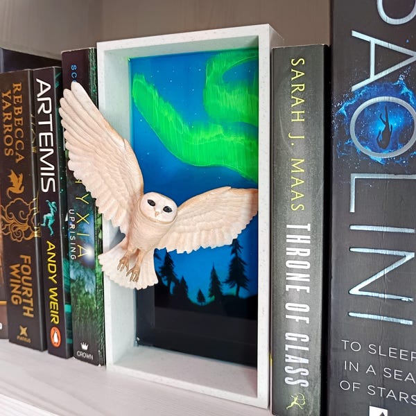 Book Nook Harrypotter - Etsy