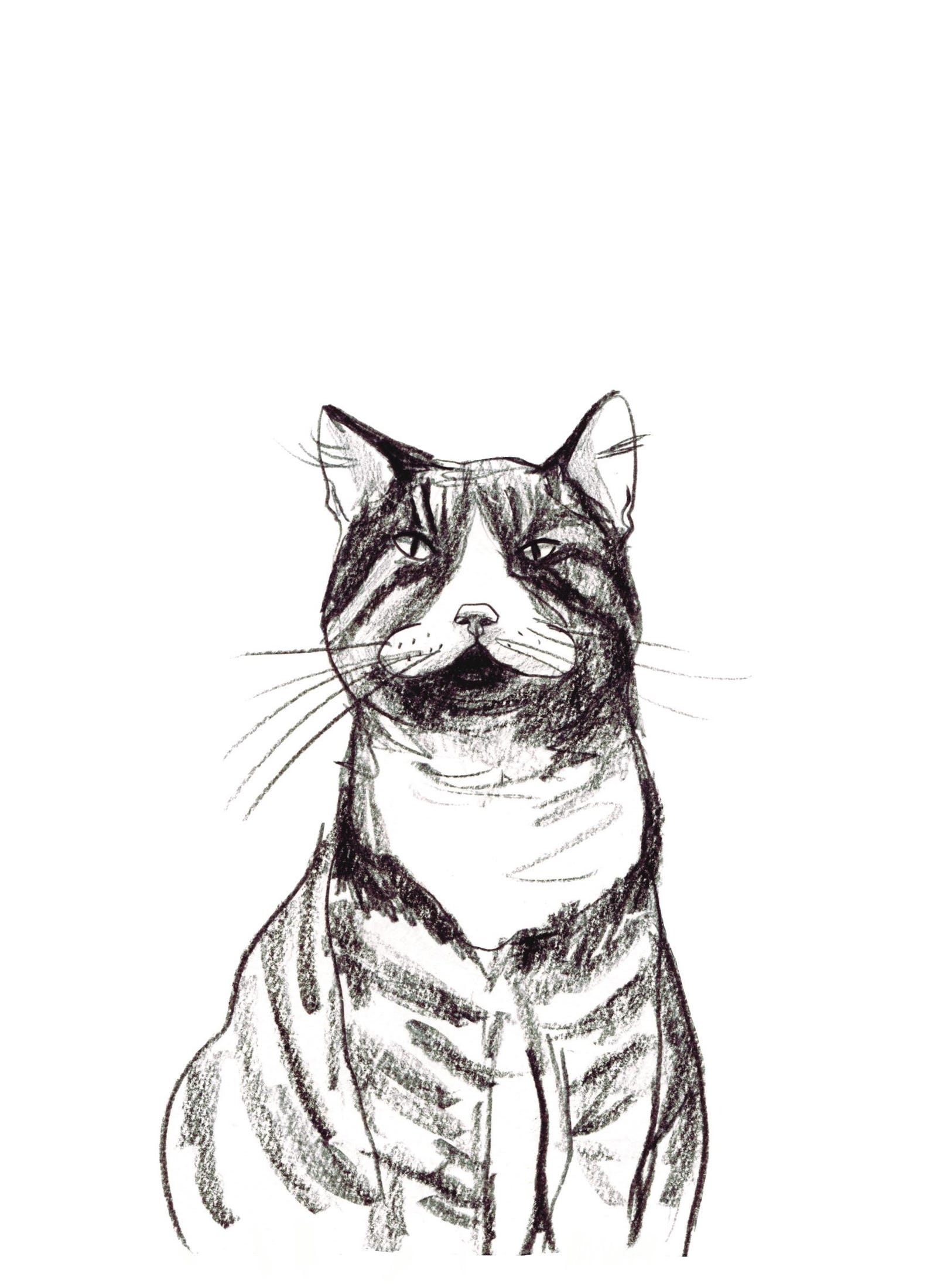 Art Print, Giclèe Print of Original Cat tigger Painting , Original ...