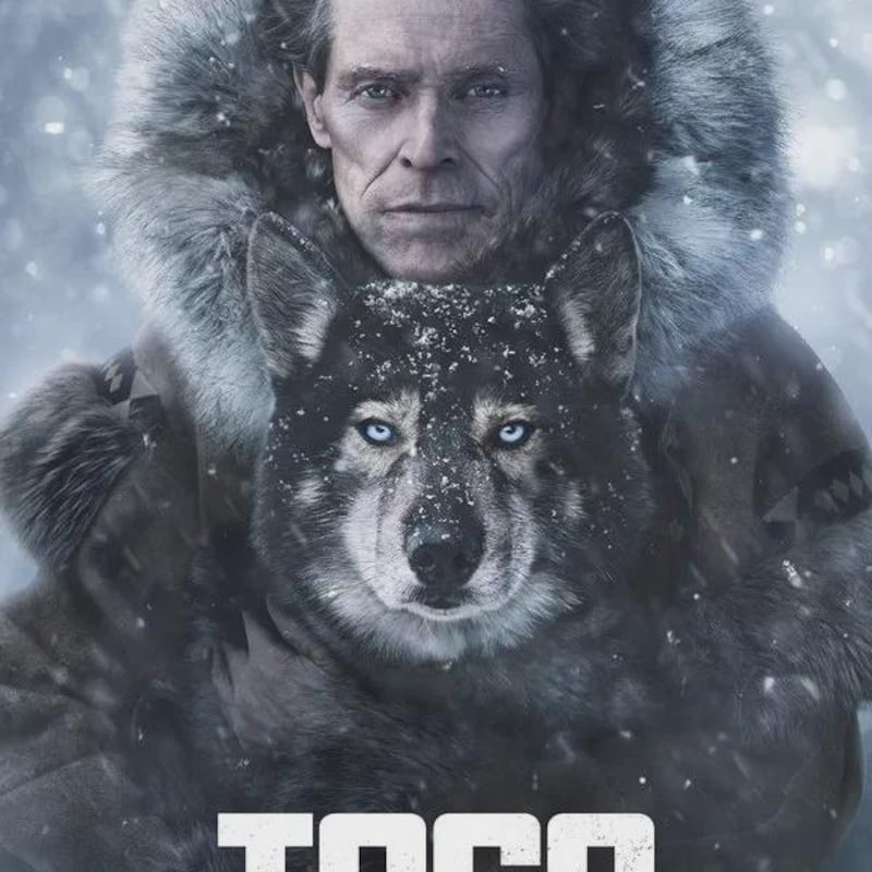 Togo Movie in English - Etsy