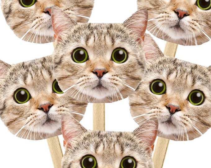 Cat Face Stick, Face on a Stick Prop, Cat Party, Cat Face on a Stick ...