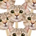 Cat Face Stick, Face on a Stick Prop, Cat Party, Cat Face on a Stick ...