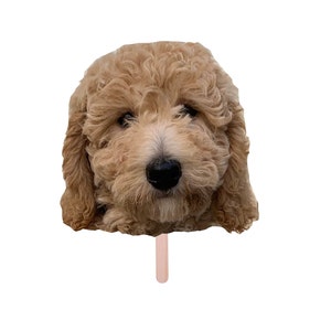 Dog Face Stick, Dog Face on a Stick Prop, Custom Photo Dog Face Stick ...