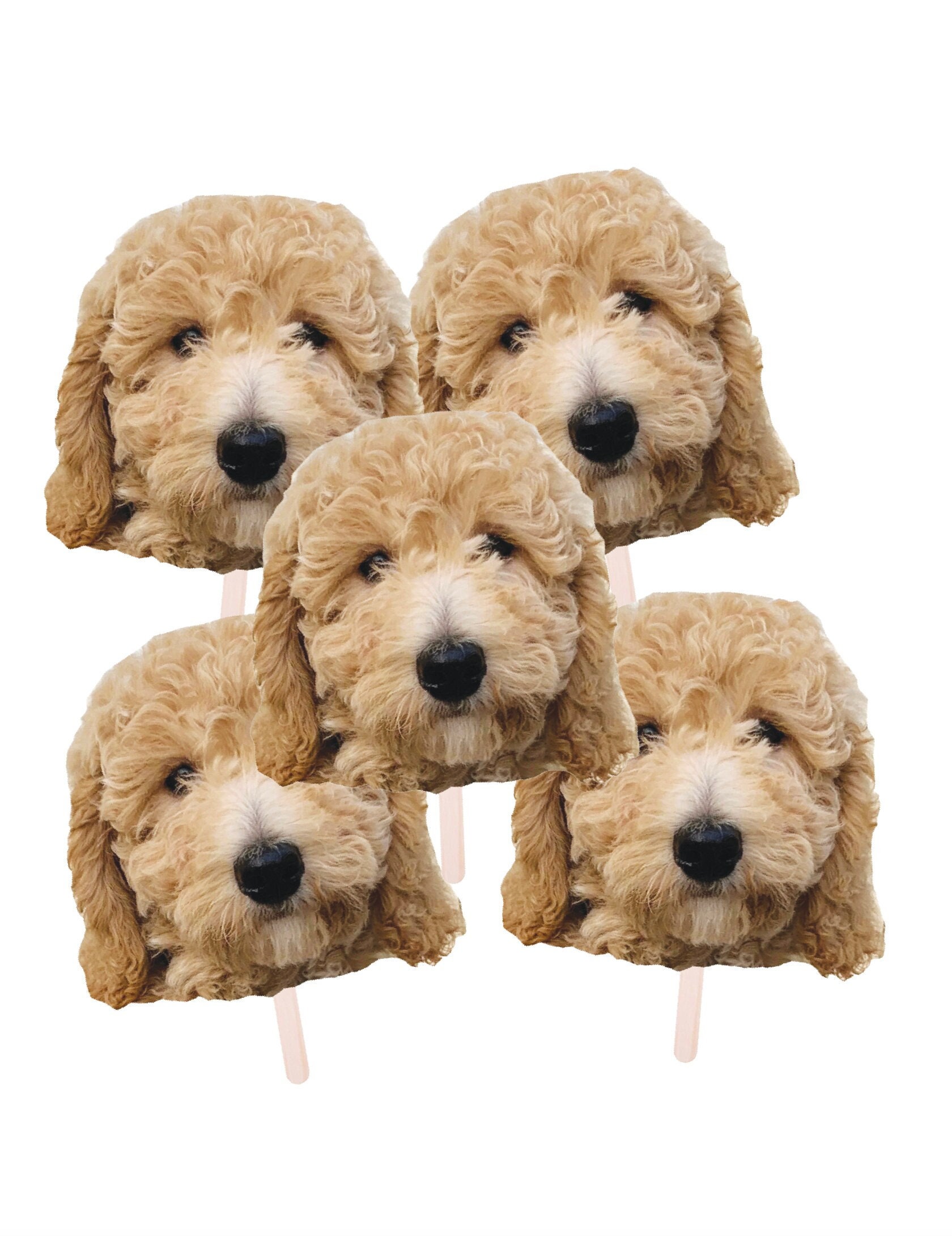 Custom Dog Face on a Stick Party Prop (digital or Physical) - Etsy