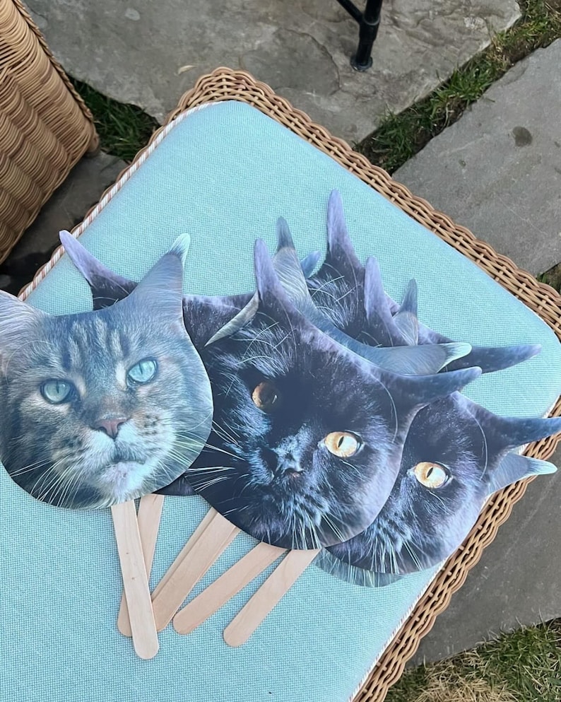 Cat Face Stick, Face on a Stick Prop, Cat Party, Cat Face on a Stick ...