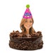Birthday Personalized Face Cake Topper 30th, 40th, 50th, 60th, 75th ...