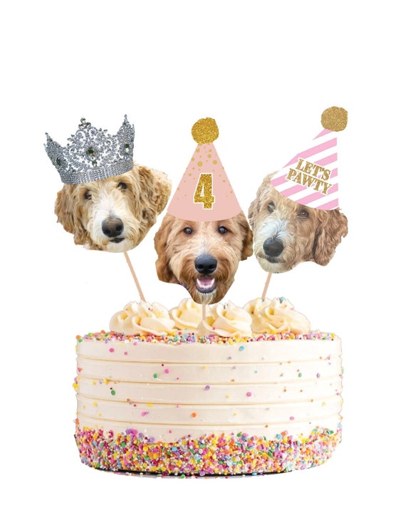Imágenes De Pasteles De Labradoodle
