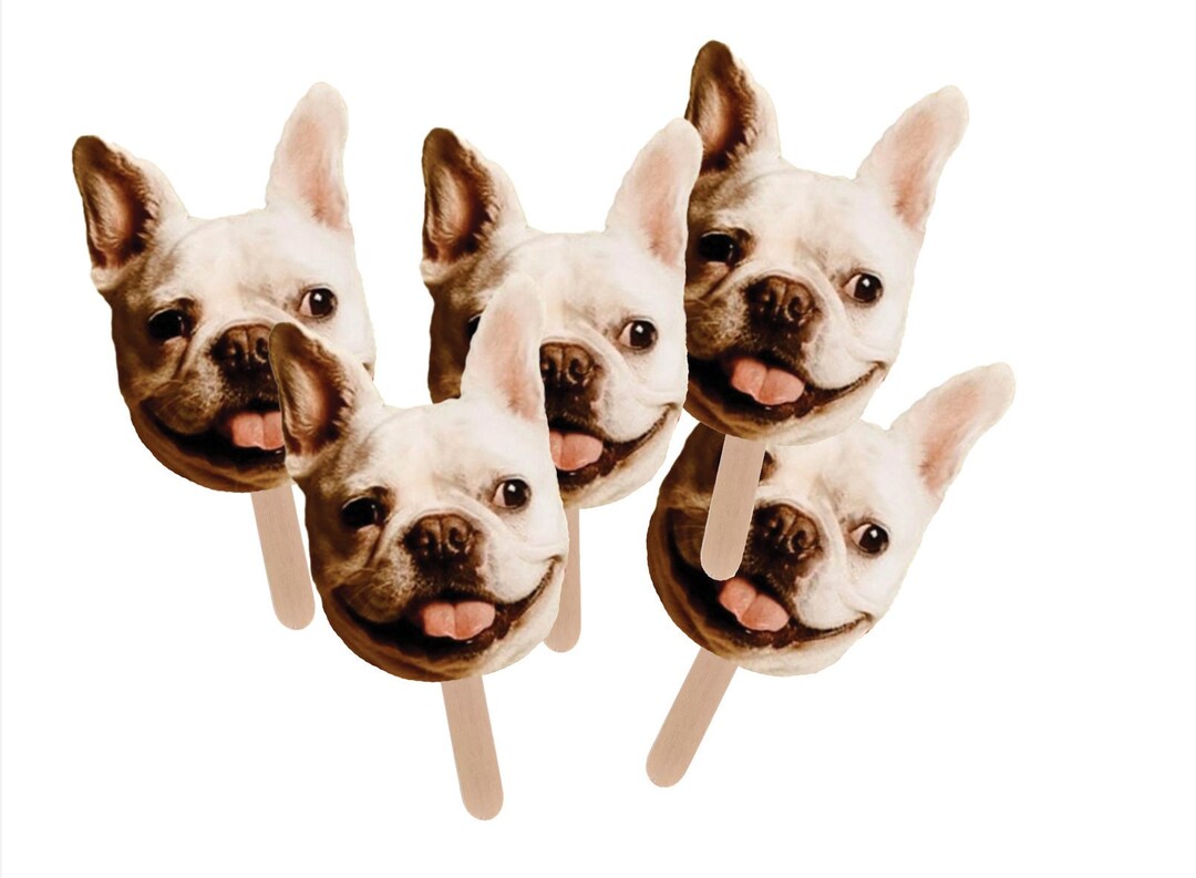 Face Stick, Face on a Stick Prop, Big Head on a Stick, Bachelorette ...