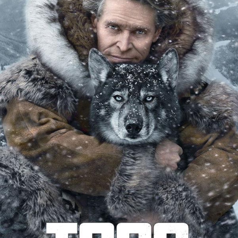 Togo Movie in English - Etsy