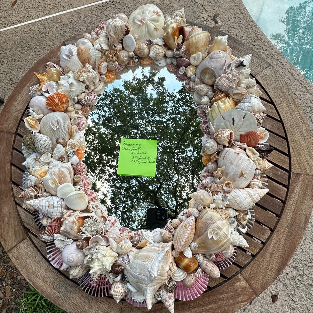 Fine Florida Shell Mirror - Etsy