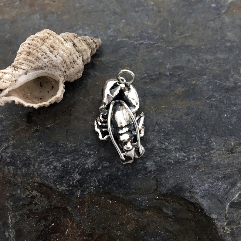 Lobster Charm Phoebe the Lobster Silver charm pendant. | Etsy