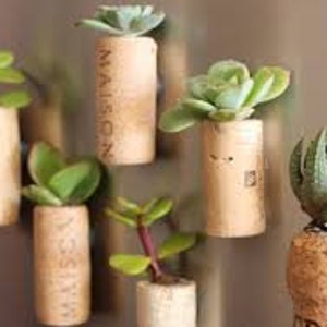 25 Real Cork Wine Corks Mixed Brands Red & White For Art | Etsy