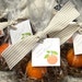 You're a Cutie Valentine Gift Tags, Clementine Orange Fruit Valentine ...