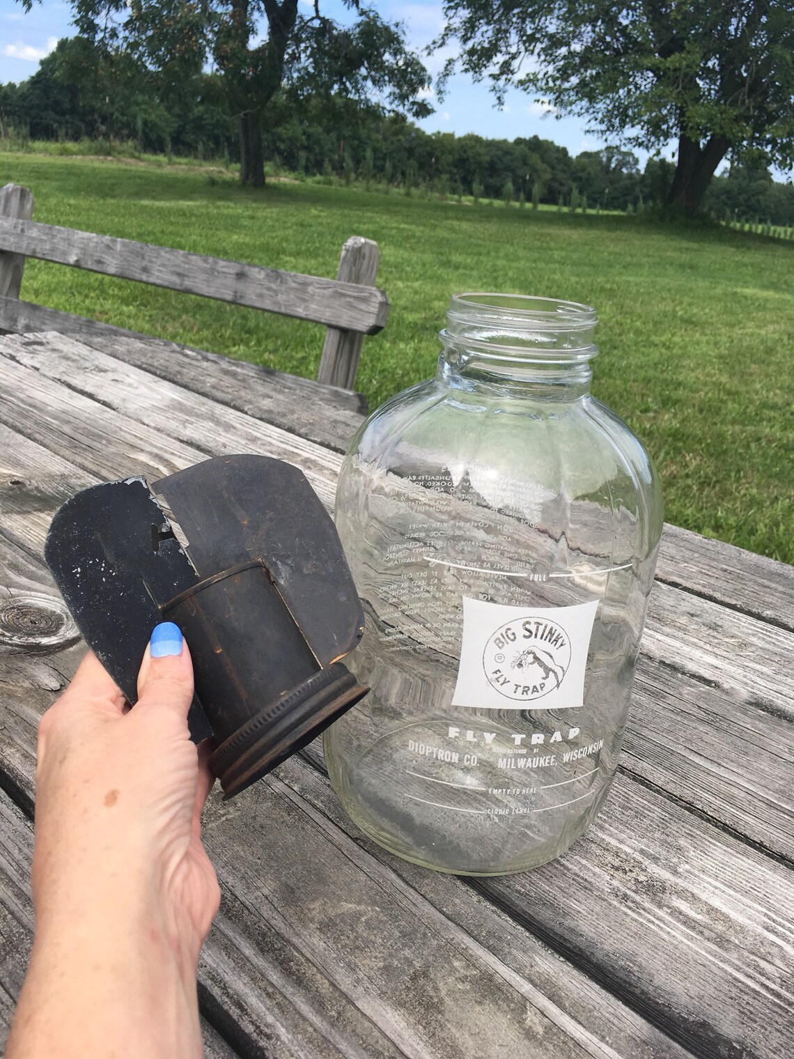 Vintage Farm Decor Big Stinky Fly Trap 1950s | Etsy