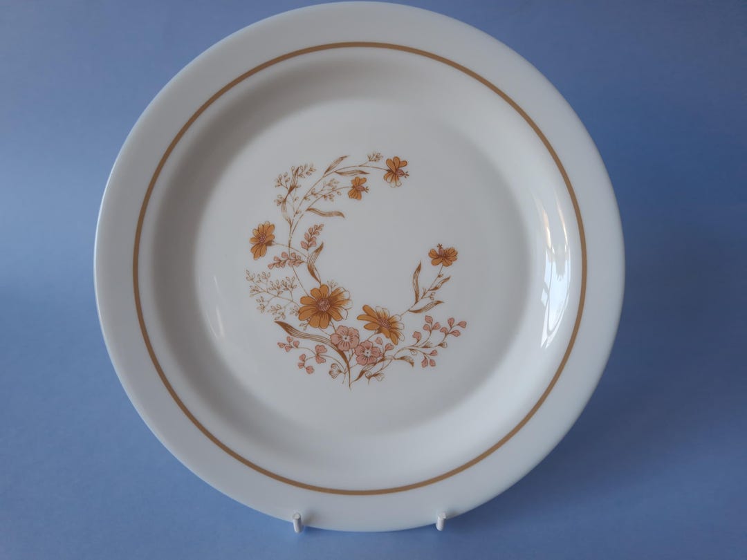 JAJ Pyrex “chelsea” Plates – Set of 6 1970s Floral Dinner Plates ...