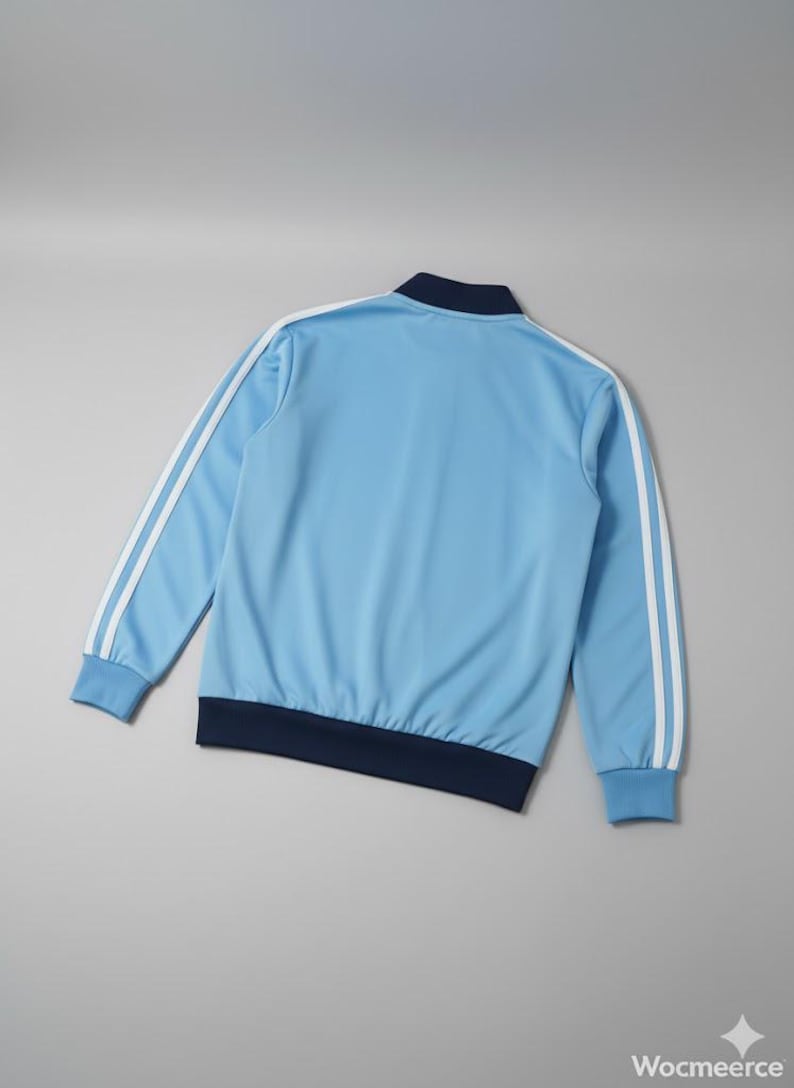 Solo Leveling Track Jacket: Sung Jin-woo Inspired, Blue Two-stripe ...