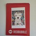 Whatta Champ - Art Assemblage - Mixed Media - Dog Art - Found Objects ...