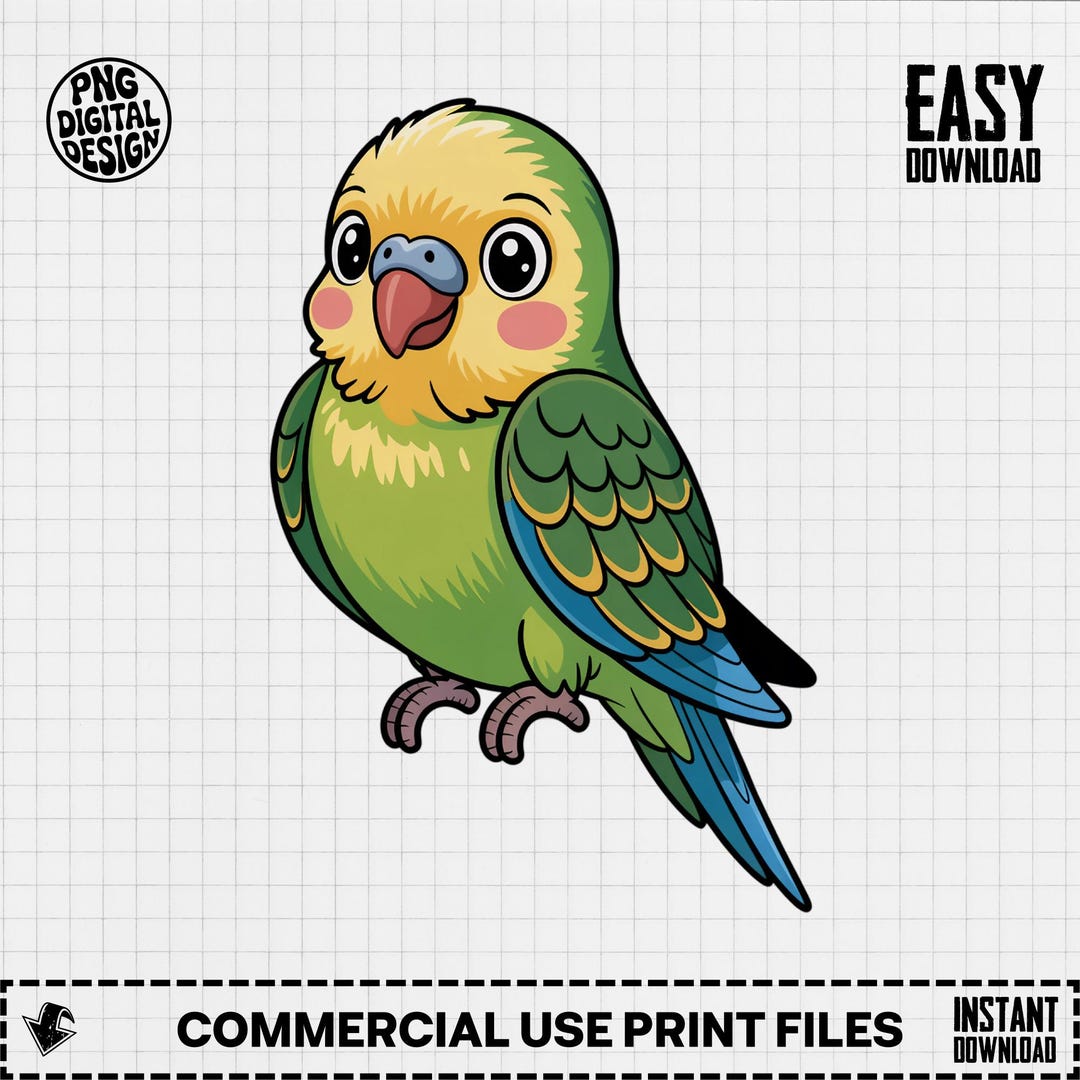 Cute Conure Clipart, Cartoon Parrot PNG, DIY Crafts (digital Download ...