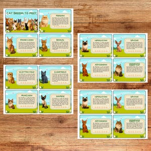 40+ Cat Breeds Flashcards Printable | Toddler Animal Learning Cards ...